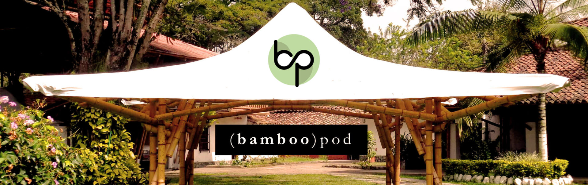 More / Más – (bamboo) pod